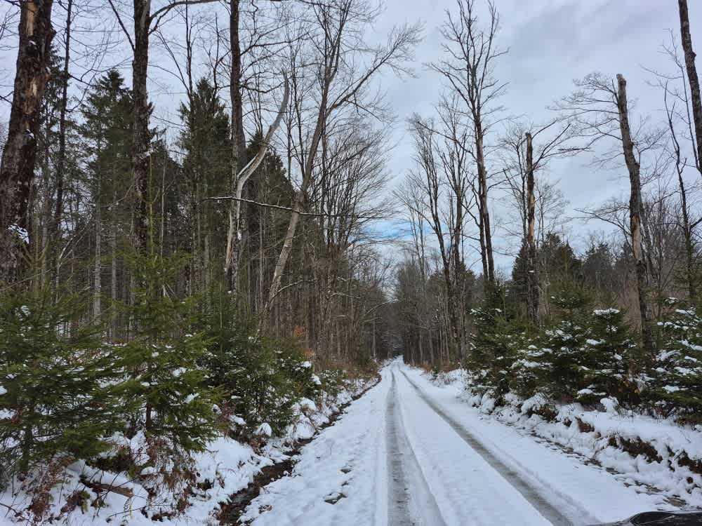 Beaver Meadow PFAR, New York - GPS Trail Map, Conditions & Difficulty ...