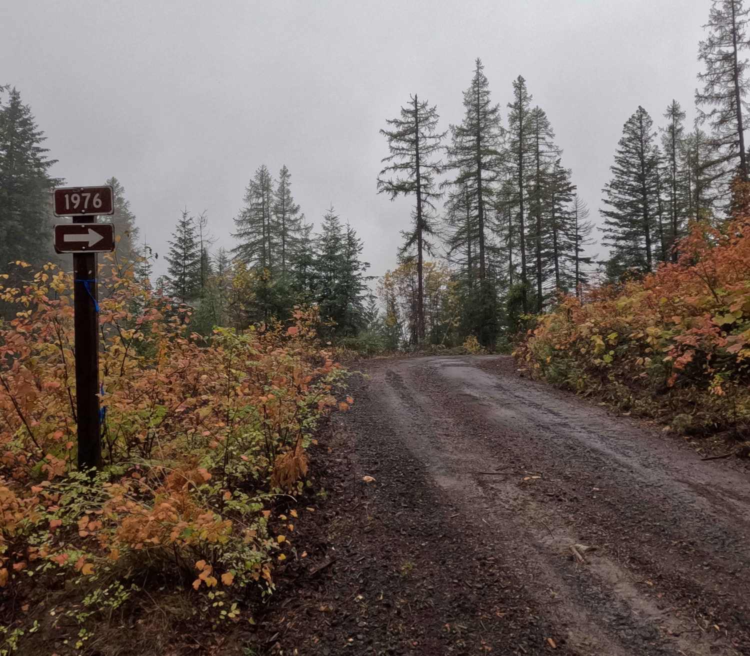 Hill Creek - FS 1976, Idaho - GPS Trail Map, Conditions & Difficulty ...