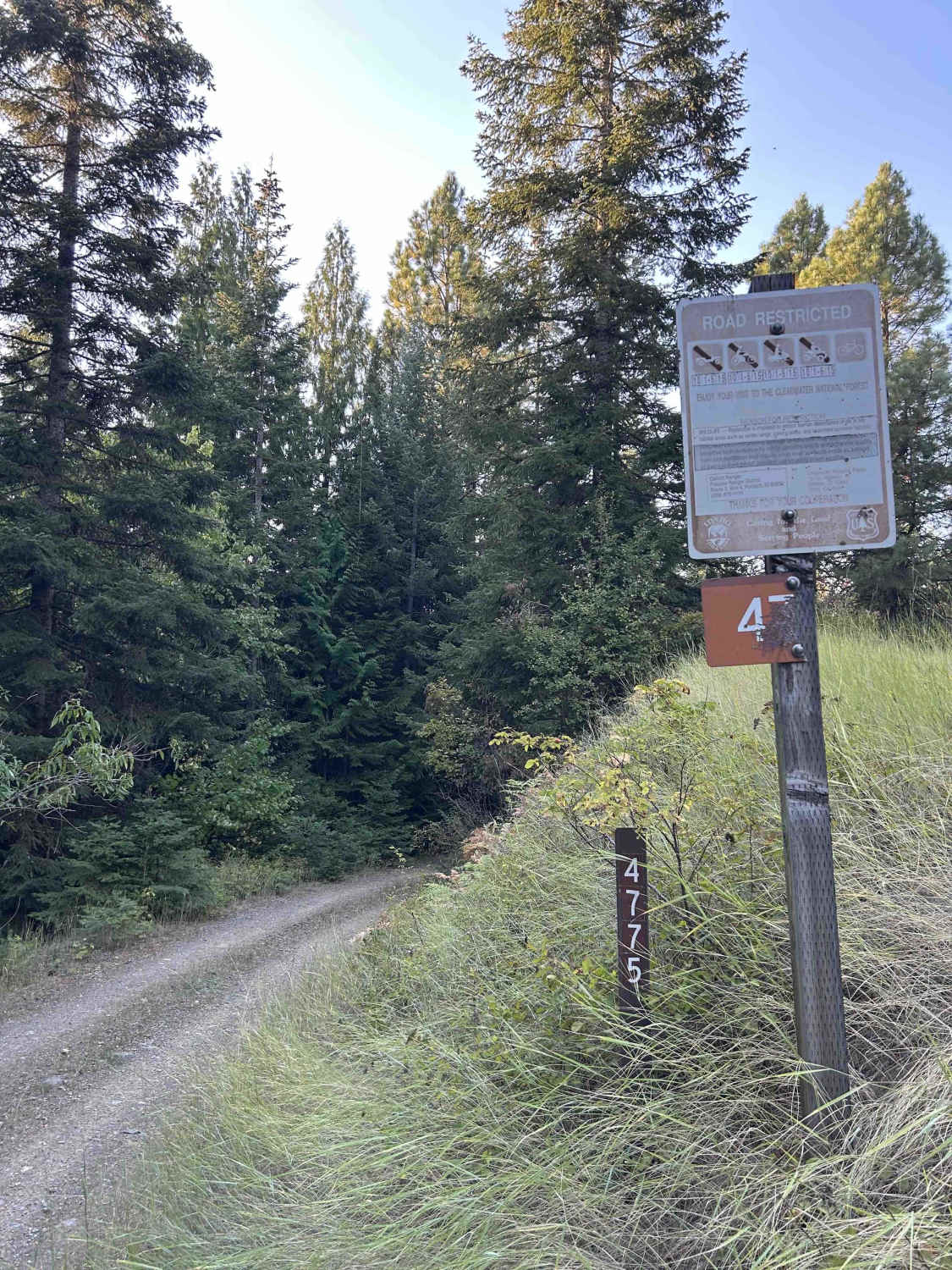 Carrico Mine - FS 4775, Idaho - GPS Trail Map, Conditions & Difficulty ...