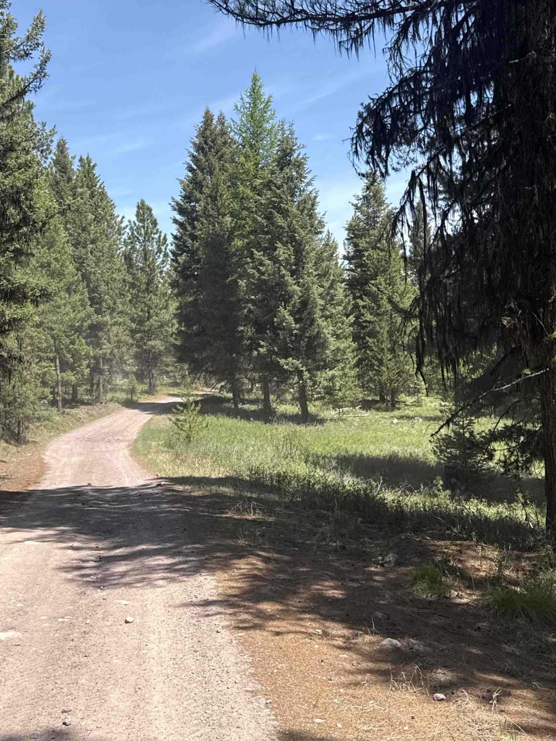 Tupper Lake/River View Road, Montana - GPS Trail Map, Conditions ...